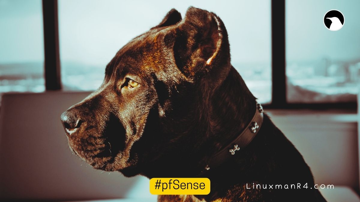 Category: Pfsense - LinuxmanR4